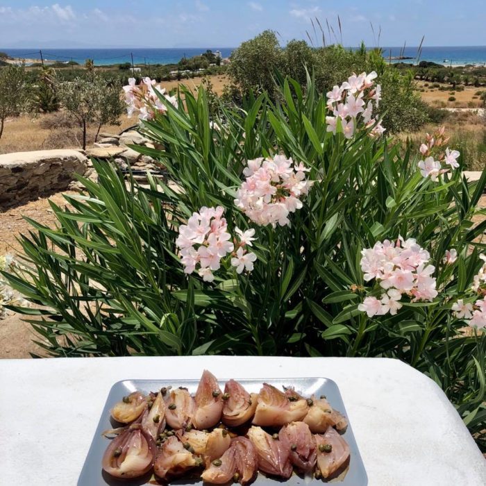 Oignons entiers confits au four – L'étoile et le croissant